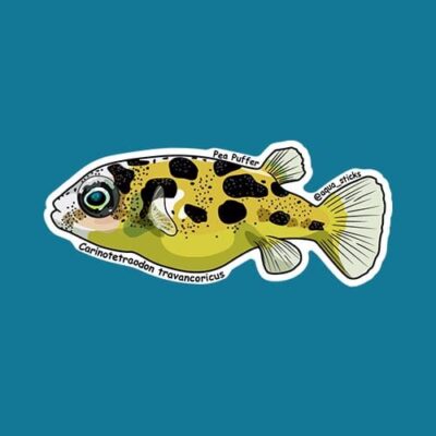 Pea Puffer Sticker - Shrimp Nation